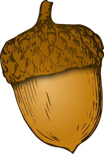 Chapter 8 – BC Reads: Adult Literacy Fundamental English – Course Pack 2