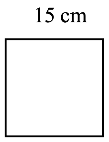 Topic C: The Metric System – Adult Literacy Fundamental Mathematics ...