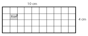 Topic C: The Metric System – Adult Literacy Fundamental Mathematics ...