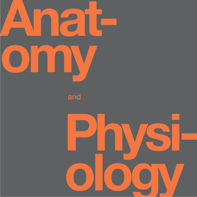 Anatomy And Physiology Simple Book Publishing
