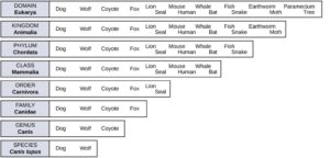 1.1 Themes and Concepts of Biology – Concepts of Biology – 1st Canadian ...