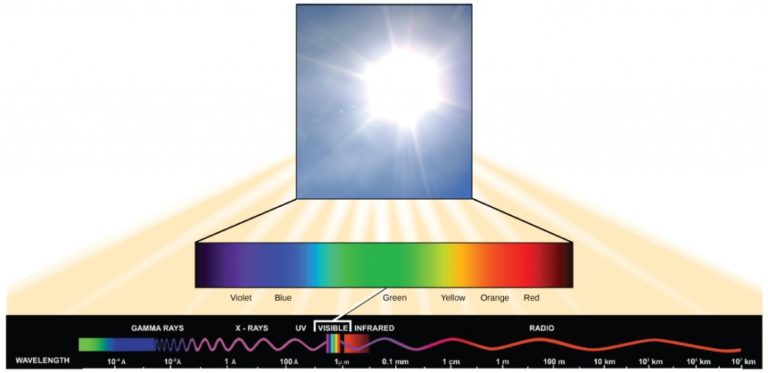 5.2: The Light-Dependent Reactions of Photosynthesis – Concepts of ...