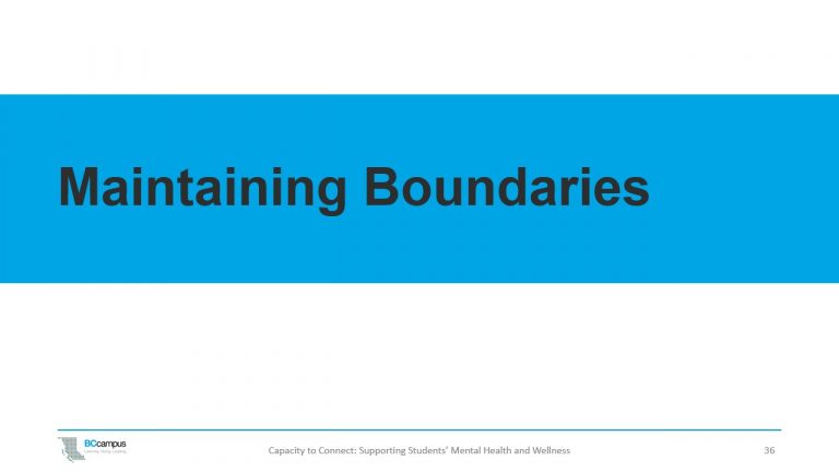Maintaining Boundaries – Capacity to Connect: Supporting Students ...