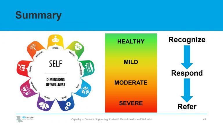 Summary and Conclusion – Capacity to Connect: Supporting Students ...