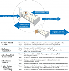1.3 Hand Hygiene and Non-Sterile Gloves – Clinical Procedures for Safer ...