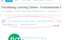 FLO Fundamentals – FLO Facilitation Guide