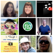FLO MicroCourses – FLO Facilitation Guide