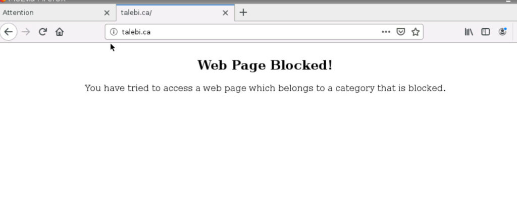 7.2 Security Profile – FortiGate Firewall