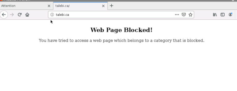 7.2 Security Profile – FortiGate Firewall