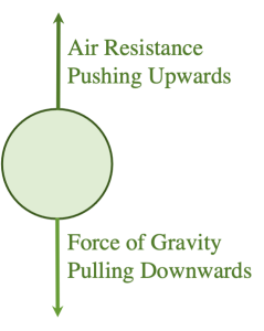 Vertical Motion – Foundations of Physics