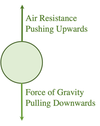 Vertical Motion – Foundations of Physics