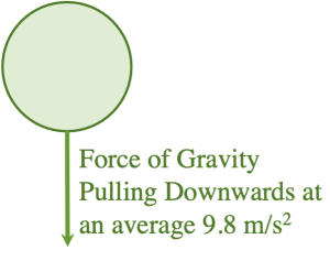 Vertical Motion – Foundations of Physics