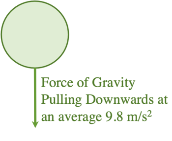 Vertical Motion – Foundations of Physics