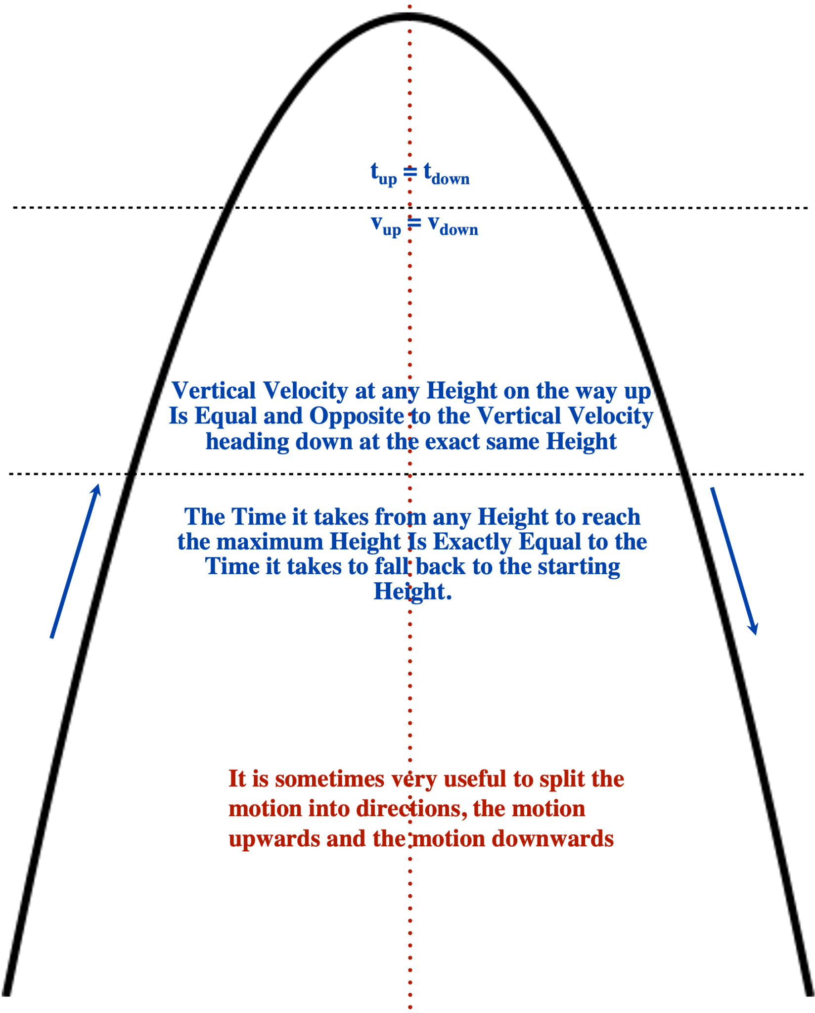 Vertical Motion – Foundations of Physics