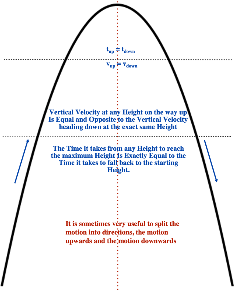 Vertical Motion – Foundations of Physics