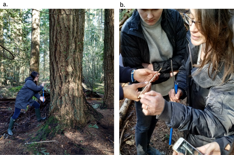 Lab 12: Coastal Forest Virtual Field Trip – Laboratory Manual for ...