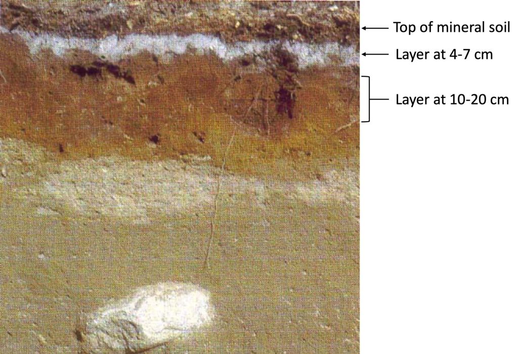 Lab 10: BC Soils and Relationships to Vegetation and Climate ...