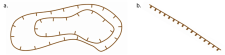 Lab 15: Map Skills II – Understanding Direction and Topography ...