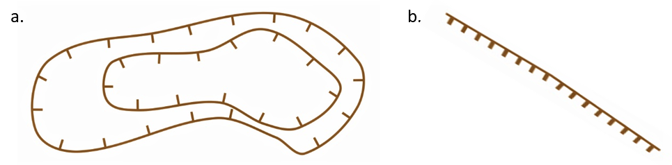 Lab 15: Map Skills II – Understanding Direction and Topography ...