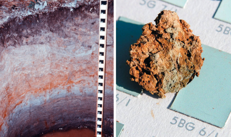 Lab 10: BC Soils and Relationships to Vegetation and Climate ...