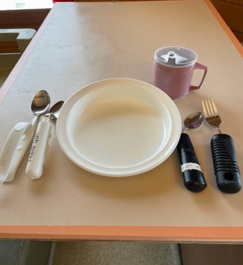 6.4 Special Diets – Personal Care Skills for Health Care Assistants