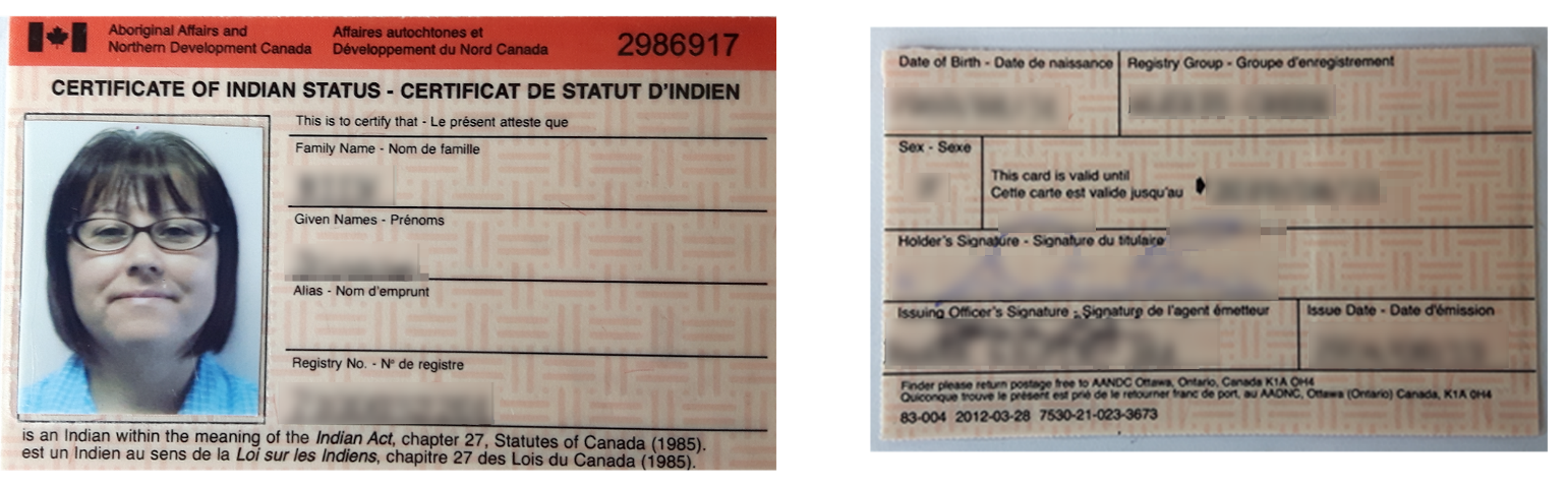 How Racism Maintains Inequity and Colonization – Pulling Together: A ...