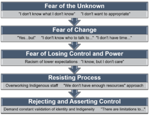 Navigating the Levels of Indigenization – Pulling Together: A Guide for ...