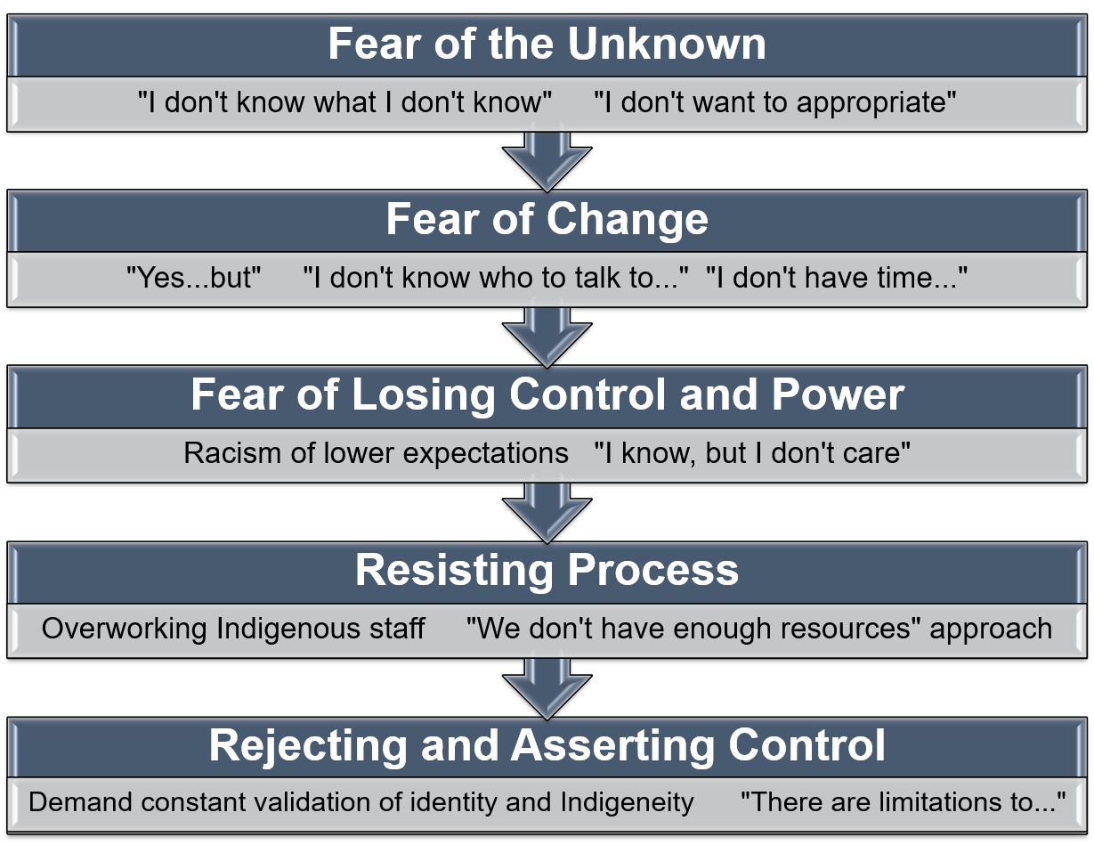 Navigating the Levels of Indigenization – Pulling Together: A Guide for ...