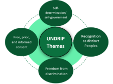 United Nations Declaration on the Rights of Indigenous Peoples (UNDRIP ...