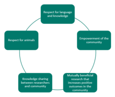 Inuit Governance Practices – Indigenous Digital Literacies