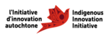 Examples of Indigenous-led Technology Solutions – Indigenous Digital ...