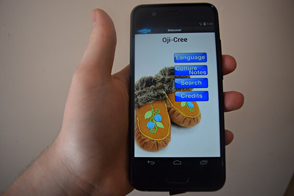 Examples of Indigenous-led Technology Solutions – Indigenous Digital ...