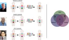 11.1. Racial, Ethnic, and Minority Groups – Introduction to Sociology ...