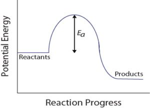 Factors that Affect the Rate of Reactions – Introductory Chemistry, 1st ...