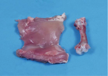 Poultry Cuts – Meat Cutting and Processing for Food Service