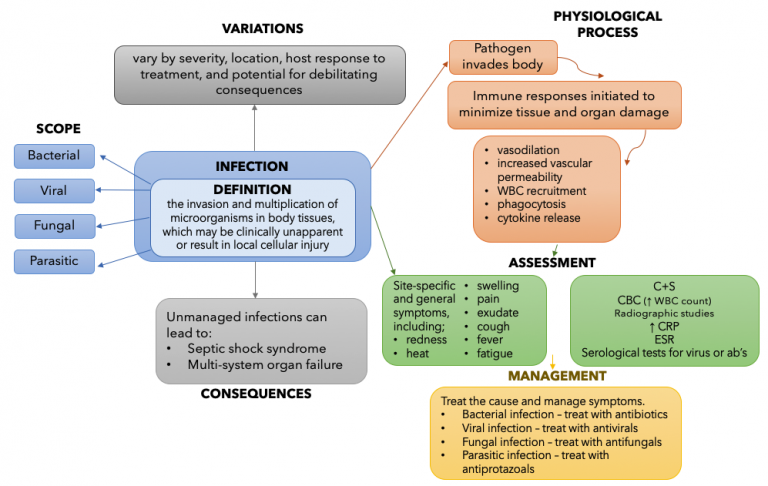 Concept Map: Infection – Fundamentals of Nursing Pharmacology – 1st ...