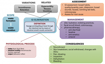 7.2 Gastrointestinal Elimination Concepts – Fundamentals of Nursing ...