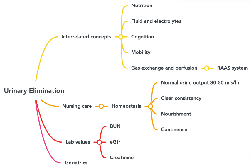 Concept Map: Renal Elimination – Fundamentals of Nursing Pharmacology ...