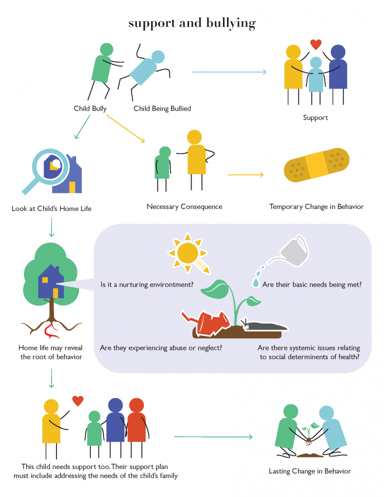Systemic Trauma – Post-Secondary Peer Support Training Curriculum