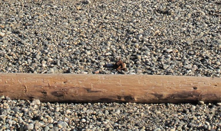 6.1 Clastic Sedimentary Rocks – Physical Geology – 2nd Edition