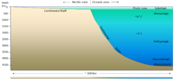 18.1 The Topography of the Sea Floor – Physical Geology – 2nd Edition