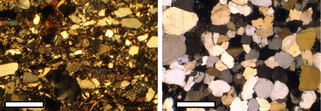 6.4 Sedimentary Structures and Fossils – Physical Geology – 2nd Edition