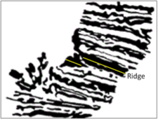 Appendix 2: Answers to Review Questions – Physical Geology – 2nd Edition