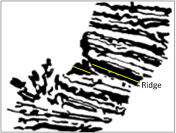 Appendix 2: Answers to Review Questions – Physical Geology – 2nd Edition