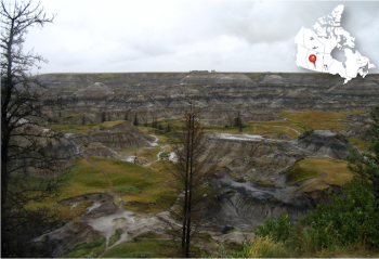 Physical Geology - H5P Edition