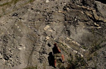 13.2 Folds – Physical Geology – H5P Edition