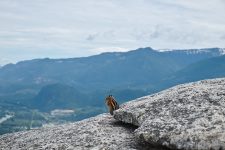 8.1 Physical Weathering – Physical Geology – H5P Edition