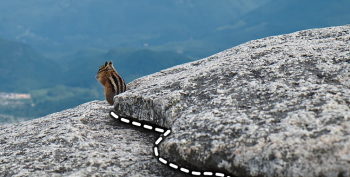 8.1 Physical Weathering – Physical Geology – H5P Edition