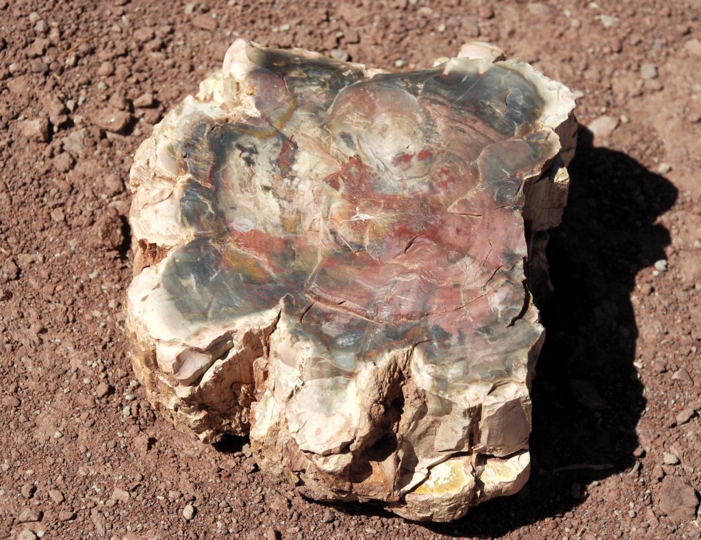 9.2 Chemical and Biochemical Sedimentary Rocks – Physical Geology – H5P ...