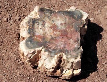 9.2 Chemical and Biochemical Sedimentary Rocks – Physical Geology – H5P ...